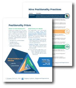 What is the Positionality Prism? - Engineer Inclusion